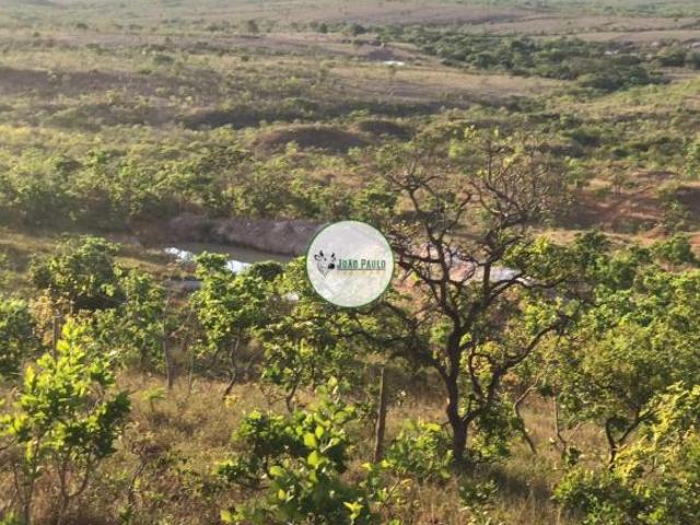 Fazenda a venda em Unaí MG 306 Hectares Toda formada em eucalipto