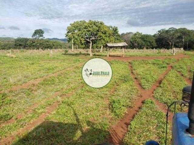 Fazenda a venda em Unaí MG 368 Hectares topografia PLANA Casa sede