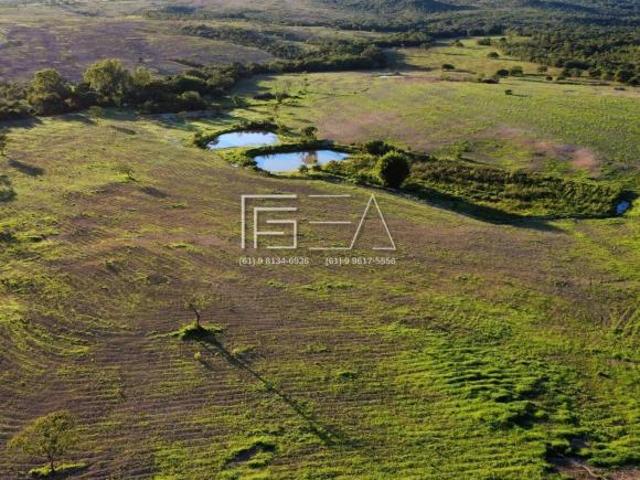 Fazenda à venda em Unaí/MG | 114 hectares | Excelente para pecuária e com potencial agrícola