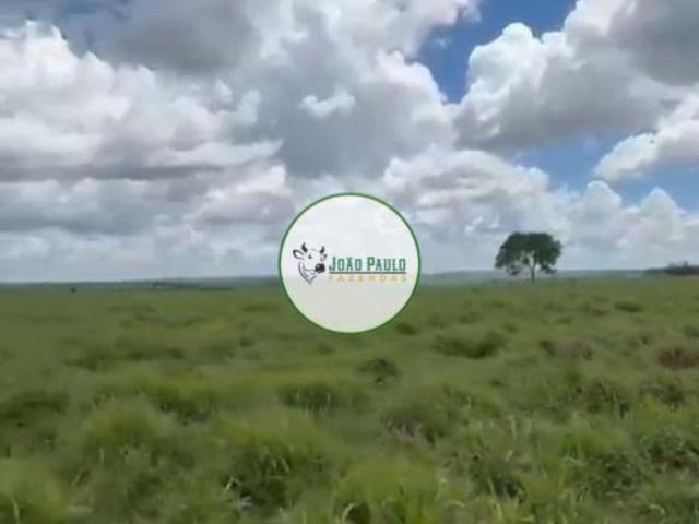 Fazenda a venda em Uberlândia MG 416 Hectares Índice pluviométrico 1.600mm Boa de água