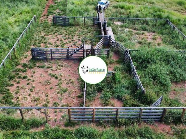 Fazenda a venda em Uberlandia MG 153 hectares Aptidão para café Agricultável