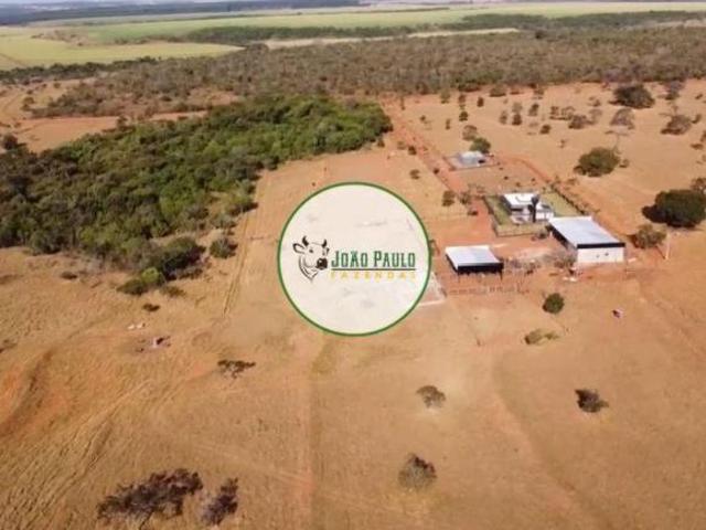 Fazenda a venda em Uberlândia MG 169 Hectares Ótimo para plantio
