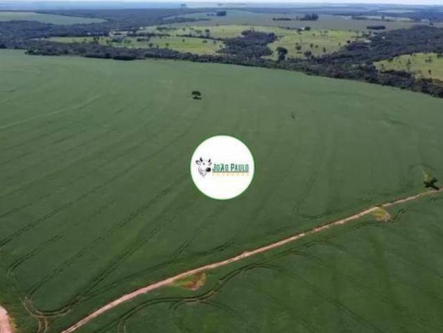 Fazenda a venda em Uberlandia MG 200 hectares 160ha de plantio