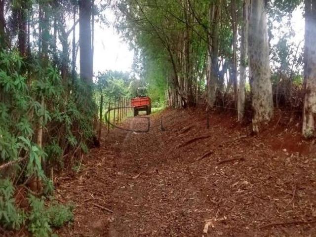 Fazenda à Venda em Uberlândia MG Área Rural com Infraestrutura Completa