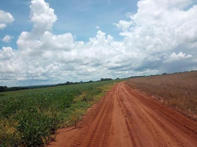 Fazenda à venda em Uberlândia/MG