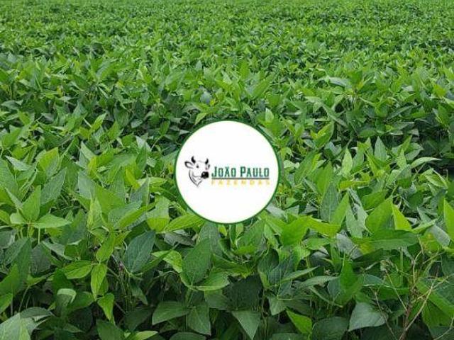 Fazenda a venda em Uruaçu GO 464 HA Plantando 300 há de LAVOURA há 8 anos