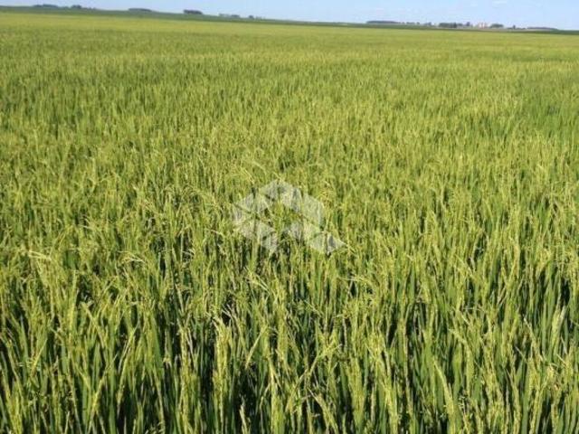 Fazenda à venda em Uruguaiana no RS