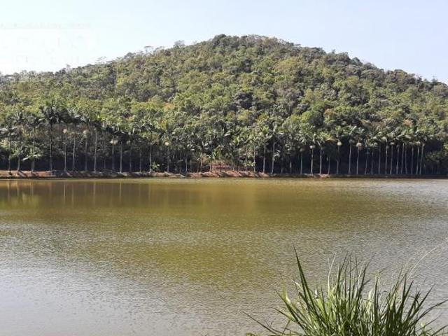Fazenda à venda em Zona Rural Juquiá com 125m², ideal para investimento