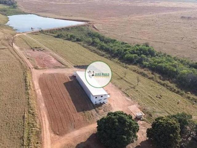 Fazenda a venda entre Caldas Novas GO e Morrinhos 3.523 Hectares DUPLA APTIDÃO PREMIADA