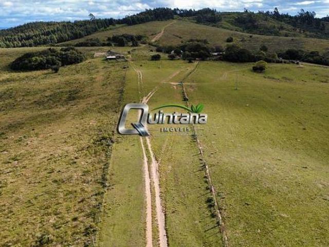 Fazenda à Venda Encruzilhada do Sul RS 460 hectares
