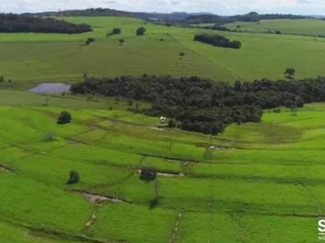 FAZENDA A VENDA EXTRA CAIAPONIA GO