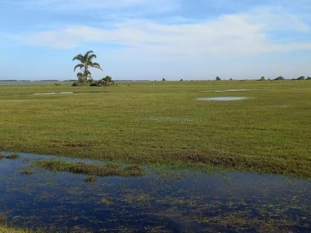 Fazenda à venda Excelente para Criação