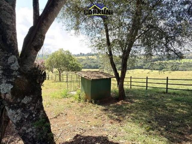 Fazenda à venda Fazenda Santo Antônio do Cedro, Carmópolis de Minas MG