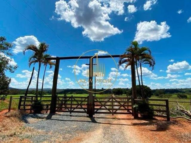 FAZENDA Á VENDA / HARAS PREMIUM – 205 HECTARES – PARAOPEBA MG