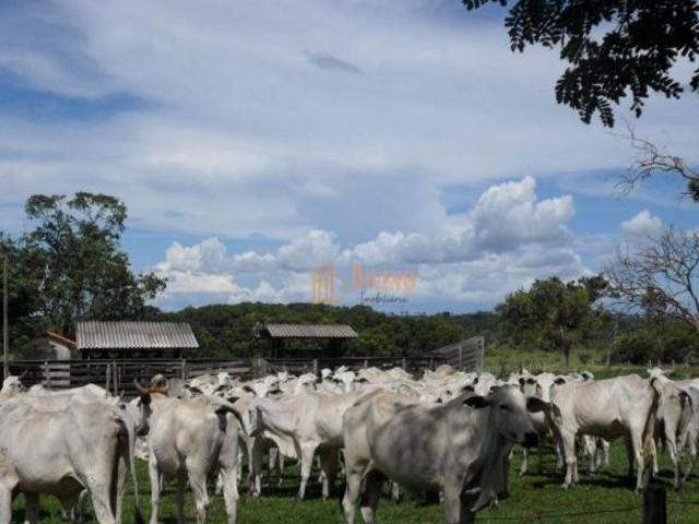 FAZENDA À VENDA – OPORTUNIDADE DE INVESTIMENTO PRODUTIVO