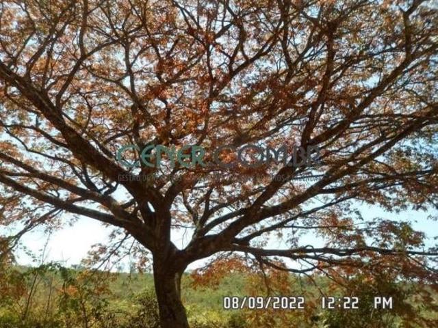 Fazenda à Venda: Oportunidade de 485 ha para Pecuária em Localização Privilegiada
