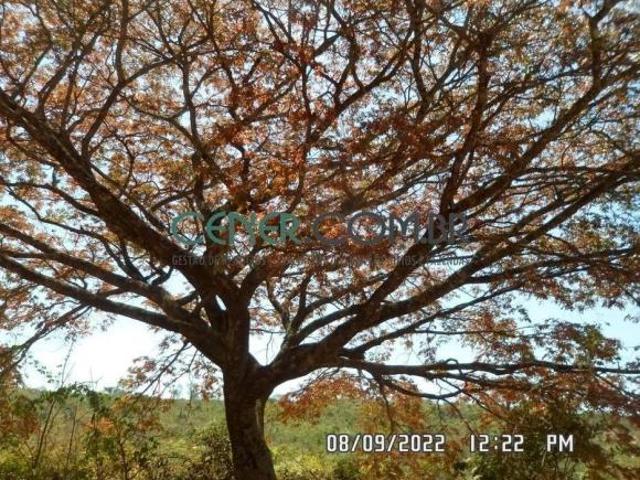 Fazenda à Venda: Oportunidade de 485 ha para Pecuária em Localização Privilegiada