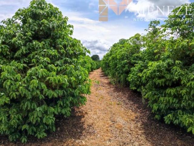 Fazenda à venda localizada em Botelhos
