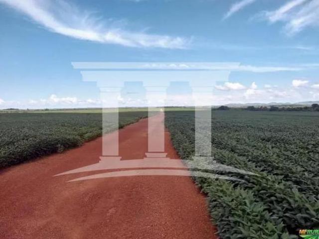 Fazenda à venda, m² por R$ 230.000.000,00 Zona Rural Nova Ubiratã/MT