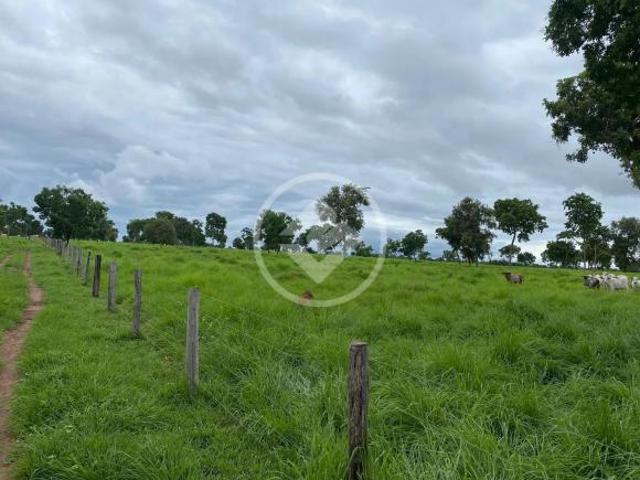 Fazenda à venda município de Cáceres MT 1.190ha para pecuária à 63km de Cáceres BR 070 R$ 20.000.000