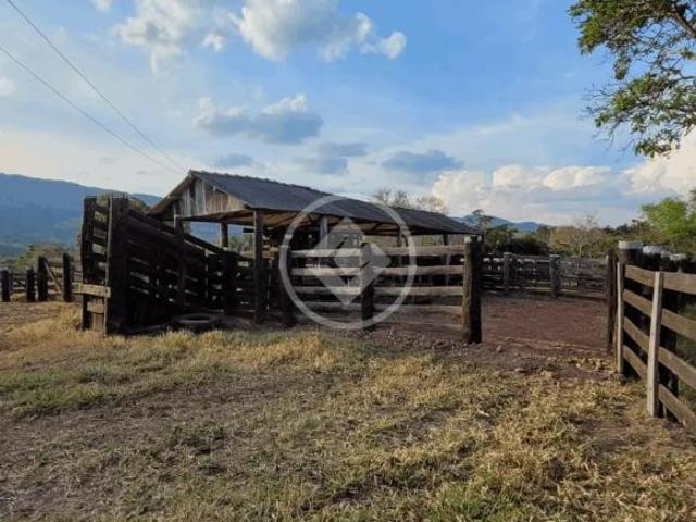 Fazenda a venda município de Cáceres MT R$ 7.000.000,00