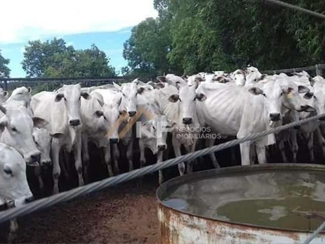 Fazenda á Venda Município de Santa Fé/MG