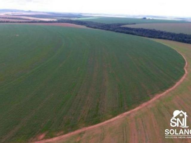 Fazenda a Venda Município: entre paredão e primavera MT