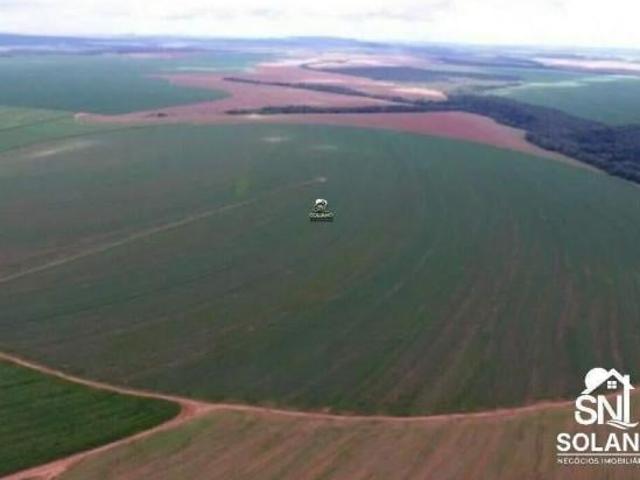 Fazenda a Venda Município: entre paredão e primavera MT
