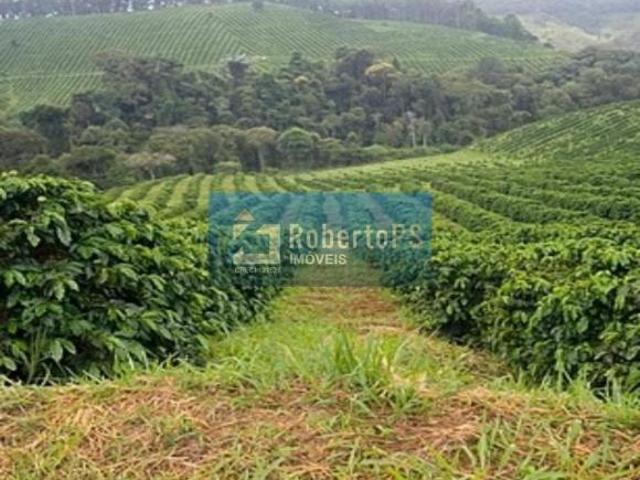 Fazenda à venda no Centro de Conceição do Rio Verde MG: 4 quartos, 1 sala, 2 banheiros, 2.160.000,00