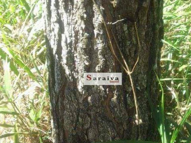 Fazenda a venda no Área Rural de Avaré Avaré 3 Dorms