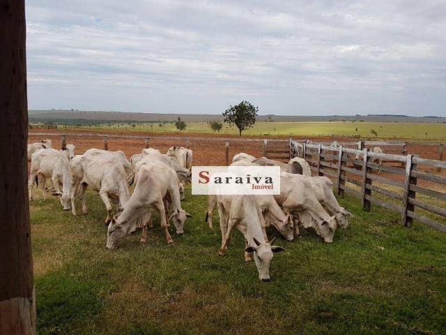 Fazenda a venda no Área Rural de Presidente Prudente Presidente Prudente 4 Dorms