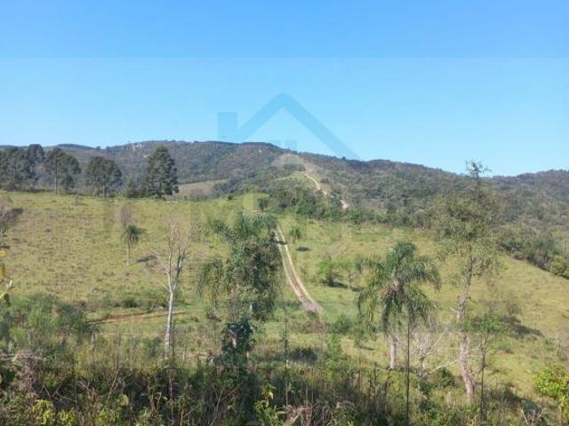 Fazenda à venda no bairro Área Rural de Campo Largo Campo Largo/PR