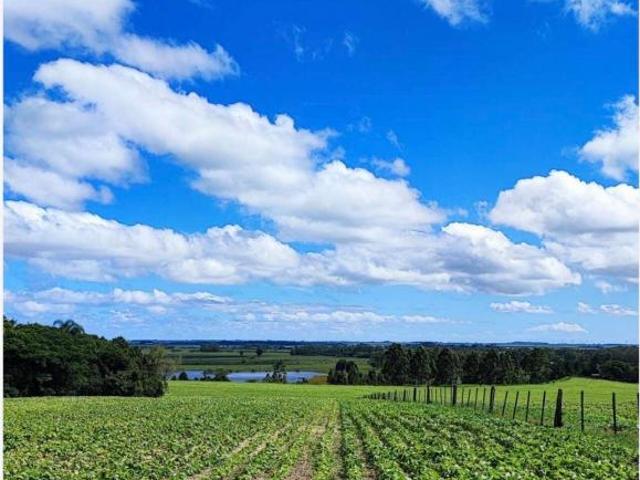 Fazenda à venda no bairro Área Rural de Viamão Viamão/RS