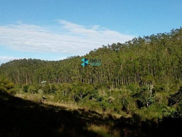 Fazenda à venda no bairro Centro Redenção da Serra/SP