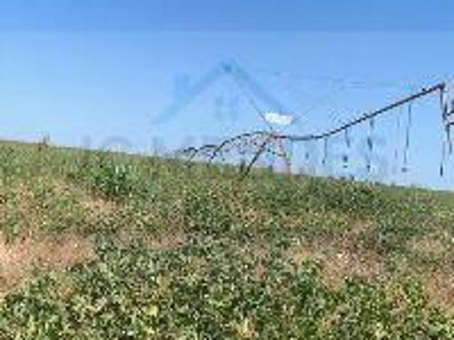 Fazenda à venda no bairro Centro Riachinho/MG
