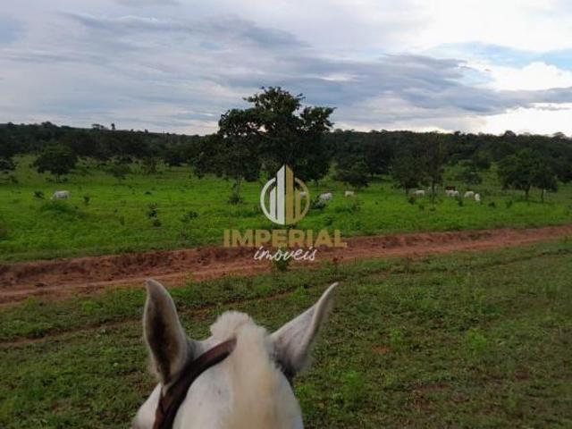 Fazenda à venda no bairro Itaquerê Novo São Joaquim/MT, Rural