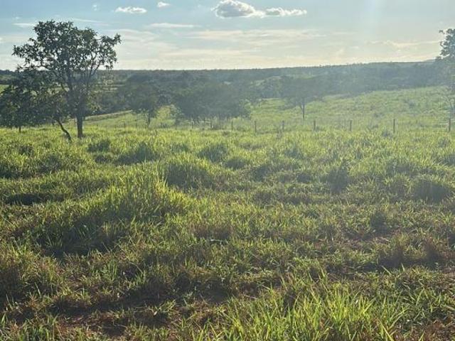 Fazenda à venda no bairro rural Biquinhas/MG