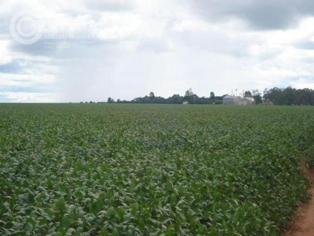 Fazenda á Venda no Mato Grosso