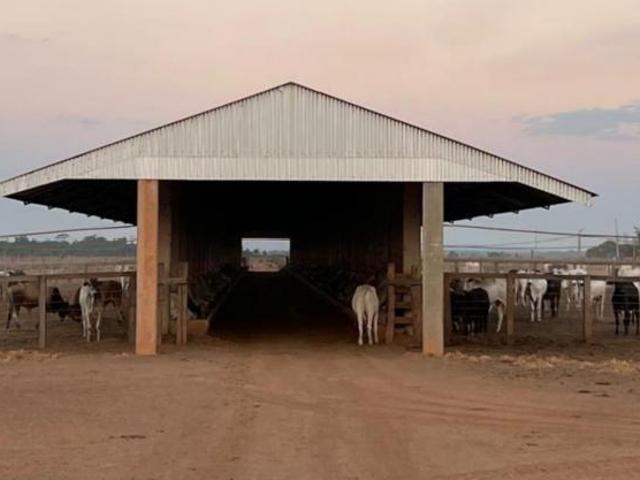 Fazenda a Venda no Município de Confresa. Mato Grosso