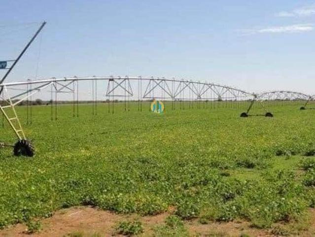 Fazenda à venda no São João /GO