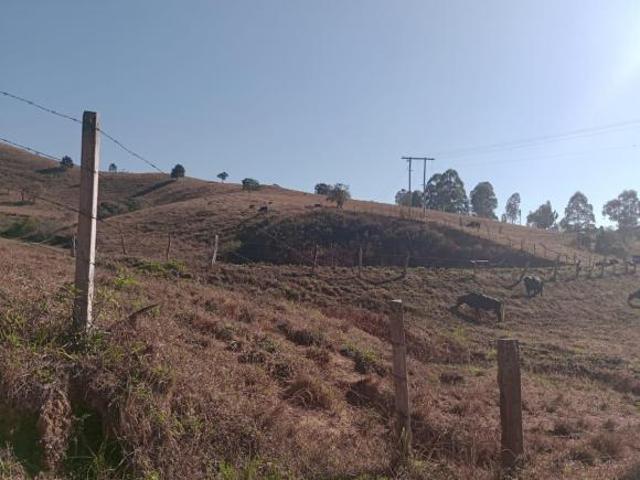 Fazenda à Venda no Sul de Minas Porteira Fechada