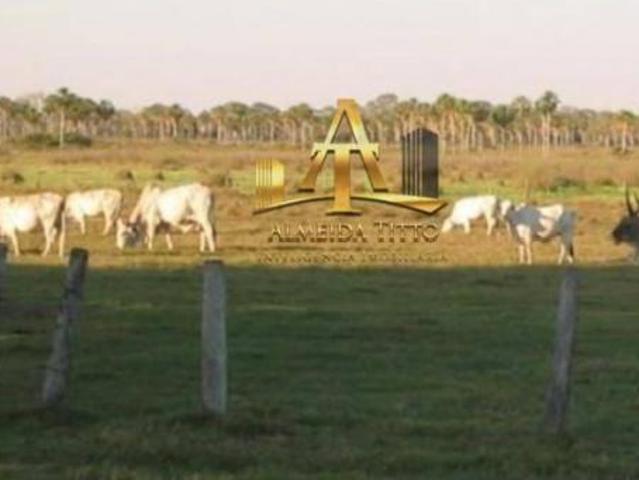 Fazenda à venda no Pantanal Cáceres MT