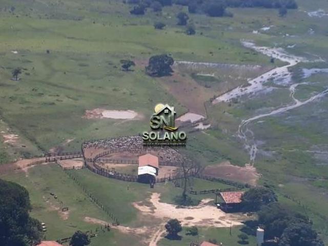 Fazenda a Venda no Pantanal de Poconé MT
