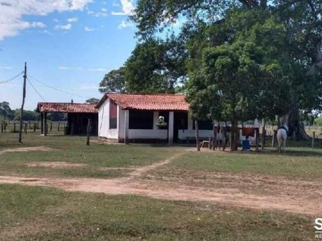 Fazenda a Venda no Pantanal de Poconé MT