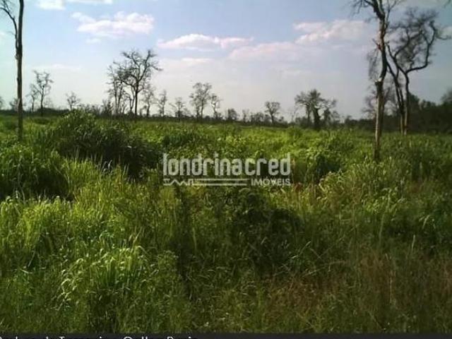 Fazenda à Venda no Paraguai por 900 dólares por hectare com Alto Potencial Pecuário