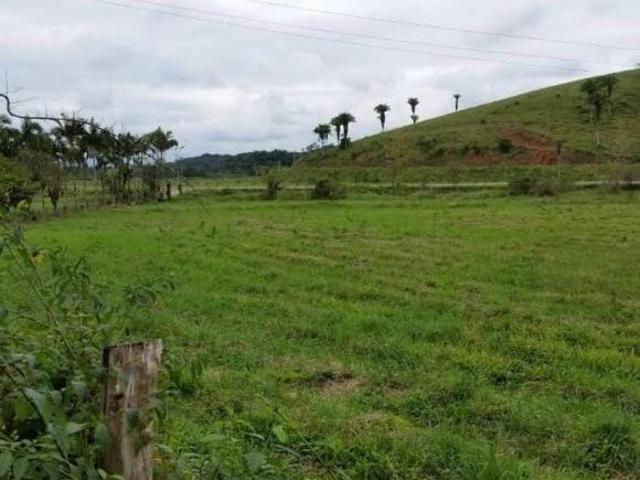 Fazenda à Venda no Vale do Ribeira – Iguape/SP A2