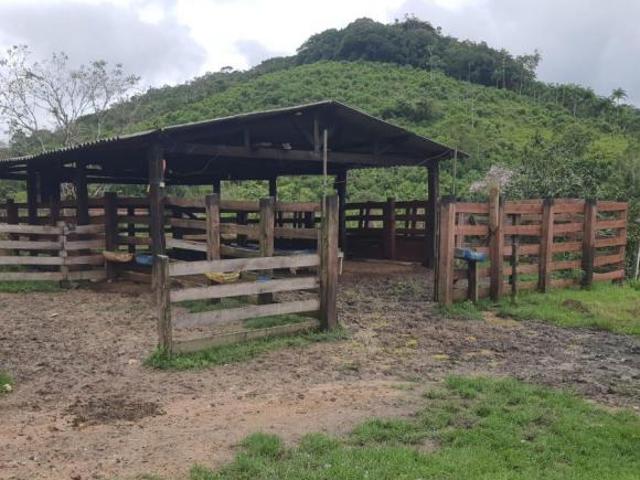 Fazenda a venda na Cidade de Sete Barras. SP