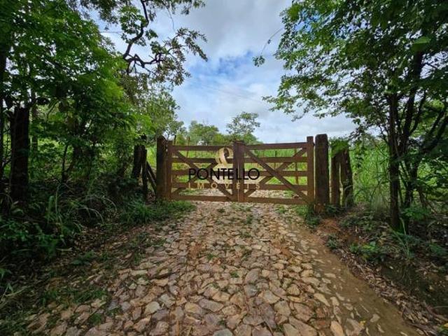 Fazenda a Venda na Estiva