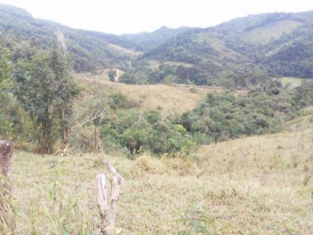 FAZENDA A VENDA NA PECUÁRIA PRÓXIMO CURITIBA PR