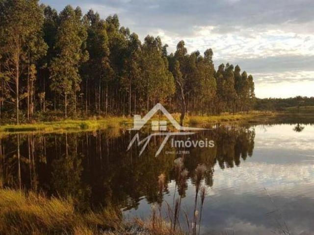 FAZENDA A VENDA NA REGIÃO DE MINEIROS GO